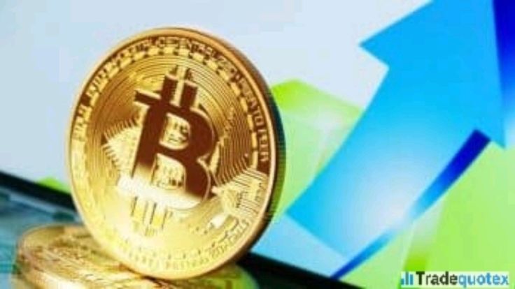 Trading Plan Harian untuk BTC dan Forex: Contoh dan Praktik | DIDIMAX